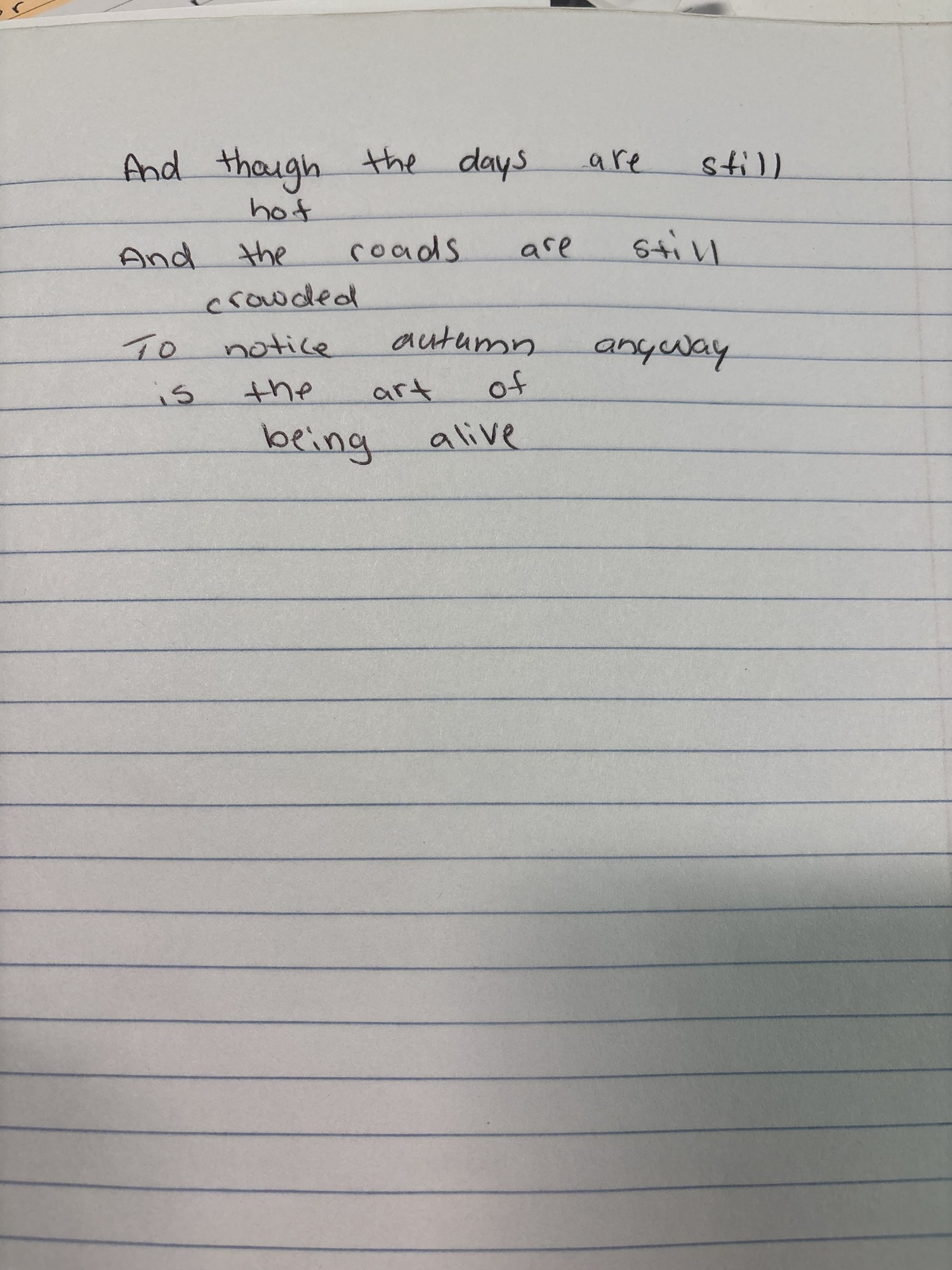 Fall in Florida – A Life Worth Living